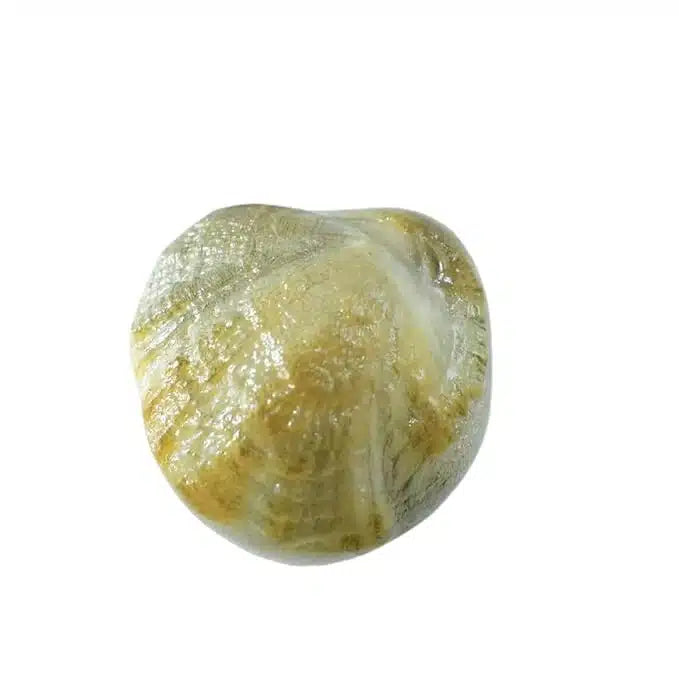 Original Yellow Machhmani Lab Certified – Natural Yellow Machmani With ...